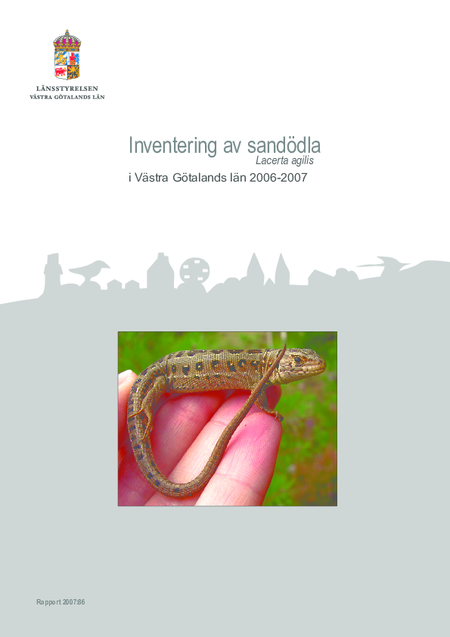 Inventering av sandödla, Lacerta agilis,i Västra Götalands län 2006 ...