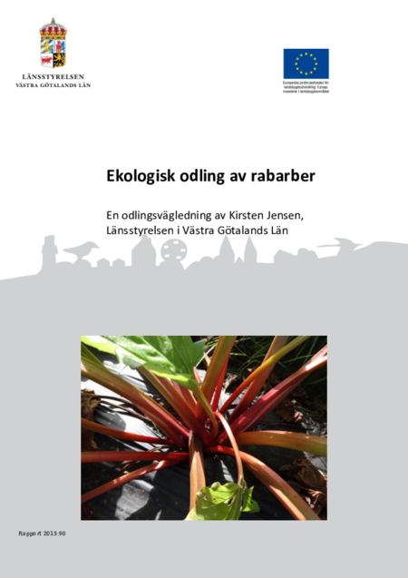 Ekologisk odling av rabarber | Länsstyrelsen Västra Götaland