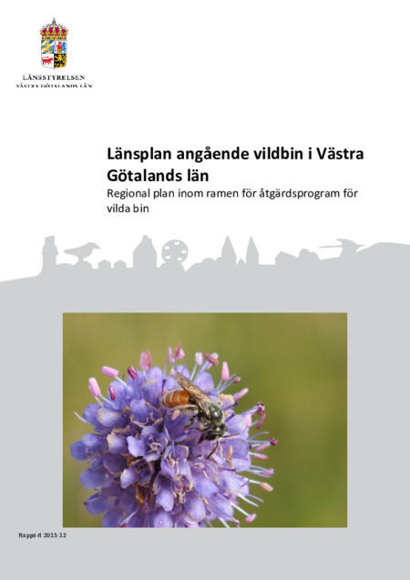 Länsplan angående vildbin i Västra Götalands län | Länsstyrelsen Västra ...