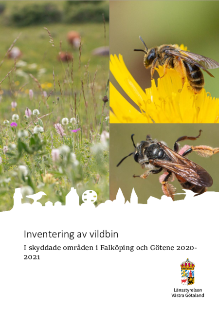 Inventering av vildbin - I skyddade områden i Falköping och Götene 2020 ...