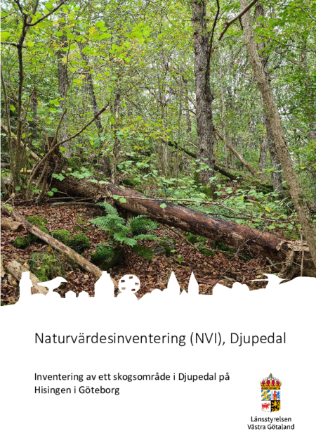 Naturvärdesinventering (NVI) Djupedal- Inventering av ett skogsområde i ...