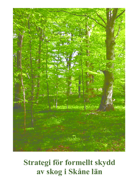 Strategi för formellt skydd av skog i Skåne län | Länsstyrelsen Skåne