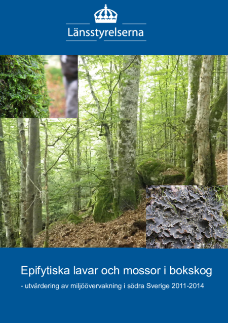 Epifytiska lavar och mossor i bokskog | Länsstyrelsen Skåne
