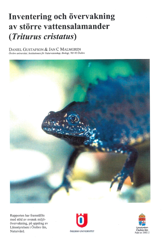 Inventering och övervakning av större vattensalamander (Triturus cristatus) | Länsstyrelsen Örebro