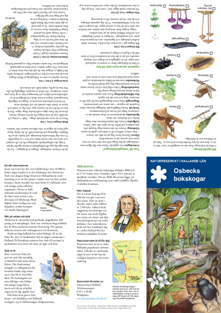 Osbecks bokskogar naturreservat | Länsstyrelsen Halland