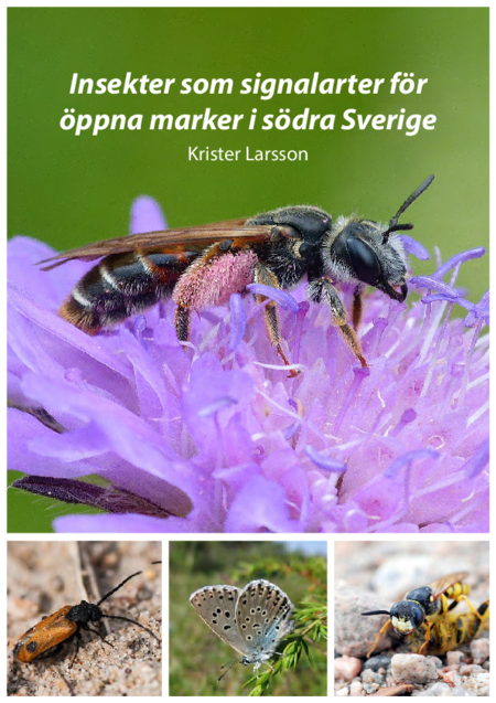 Insekter som signalarter för öppna marker i södra Sverige ...