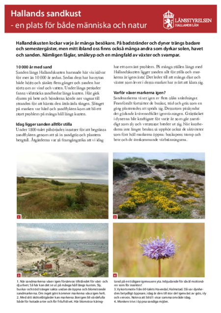 Informationsblad om Hallands sandkust | Länsstyrelsen Halland
