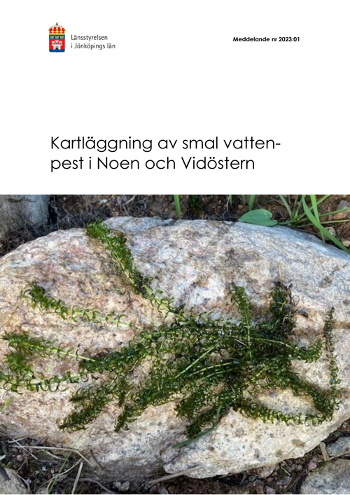 Kartläggning av smal vattenpest i Noen och Vidöstern | Länsstyrelsen ...