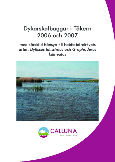 Dykarskalbaggar i Tåkern 2006-2007 | Länsstyrelsen Östergötland