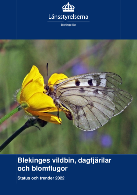 Blekinges vildbin, dagfjärilar och blomflugor – Status och trender 2022 ...