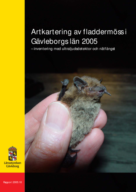Artkartering av fladdermöss i Gävleborgs län 2005 | Länsstyrelsen Gävleborg