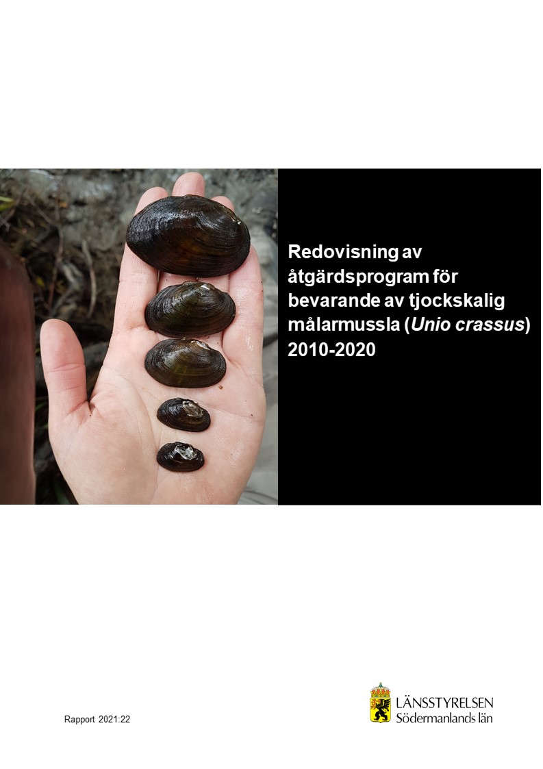 Redovisning av åtgärdsprogram för bevarande av Tjockskalig målarmussla ...