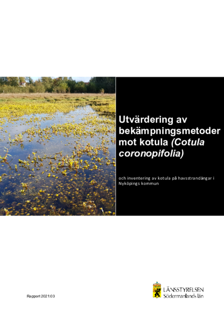 Utvärdering av bekämpningsmetoder mot kotula (Cotula coronopifolia) och ...