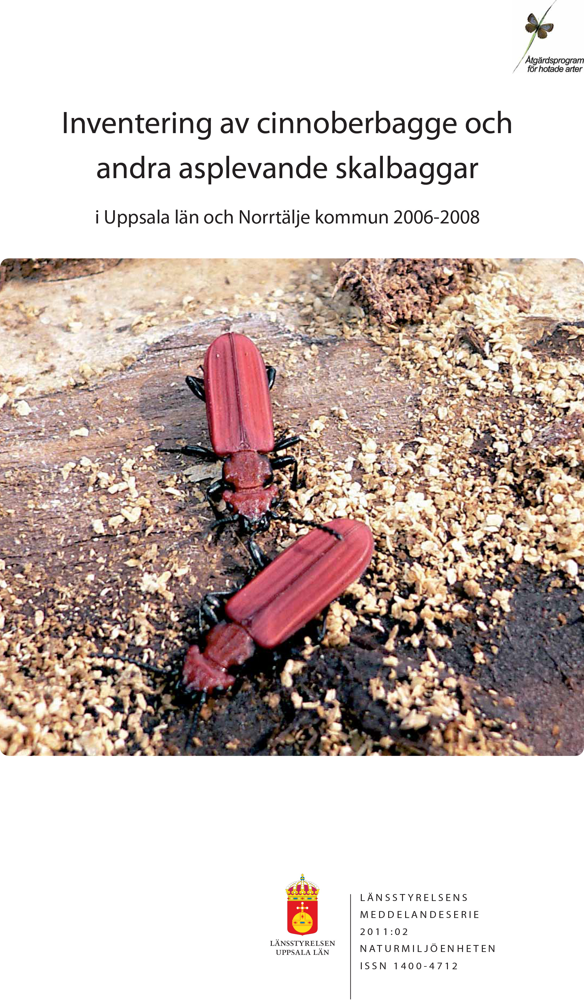 Inventering av cinnoberbagge och andra asplevande skalbaggar i Uppsala ...