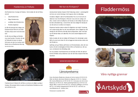 Fladdermöss | Länsstyrelsen Uppsala