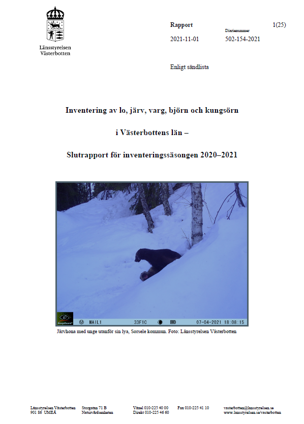 Inventering av lo, järv, varg, björn och kungsörn i Västerbottens län ...
