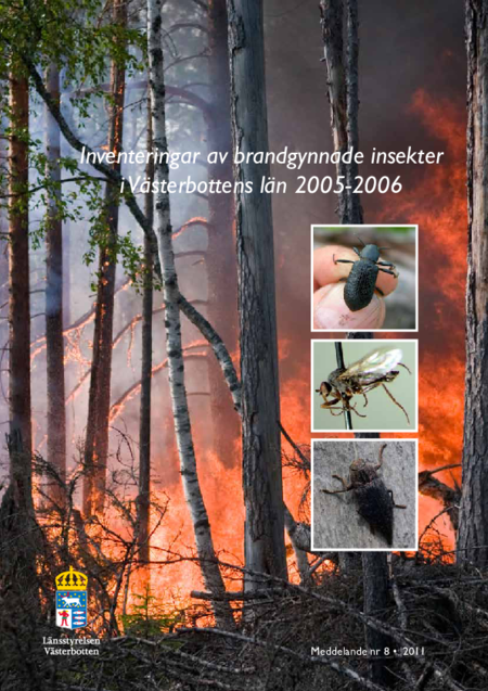 Inventeringar av brandgynnade insekter i Västerbottens län 2005-2006 ...