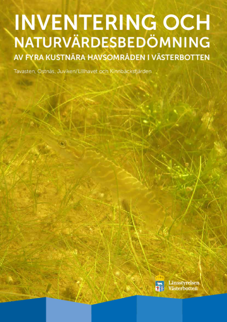 Inventering och natuvärdesbedömning av fyra kustnära havsområden i ...