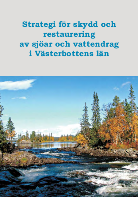 Strategi för skydd och restaurering av sjöar och vattendrag i ...
