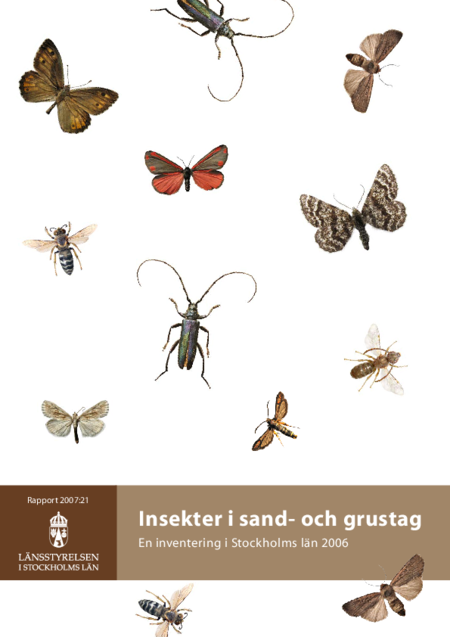 Insekter i sand- och grustag - en inventering i Stockholms län 2006 ...