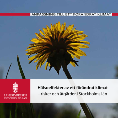 Hälsoeffekter av ett förändrat klimat - risker och åtgärder i Stockholms län | Länsstyrelsen ...