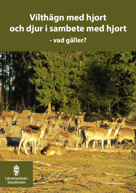 Vilthägn med hjort och djur i sambete med hjort - vad gäller ...