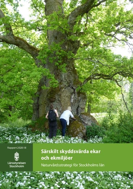 Särskilt skyddsvärda ekar och ekmiljöer - Naturvårdsstrategi för ...